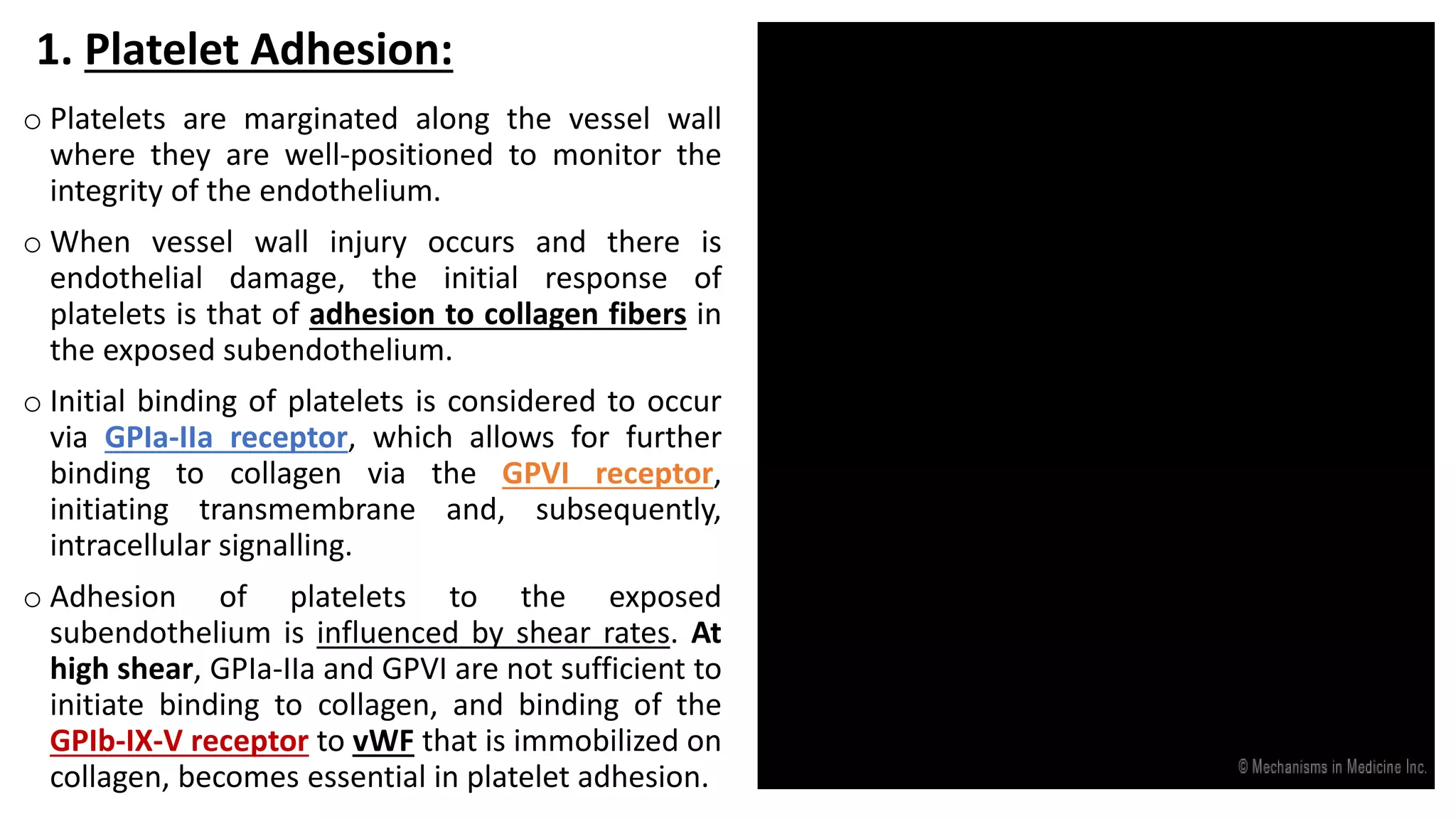 Platelet Function Tests | PPTX