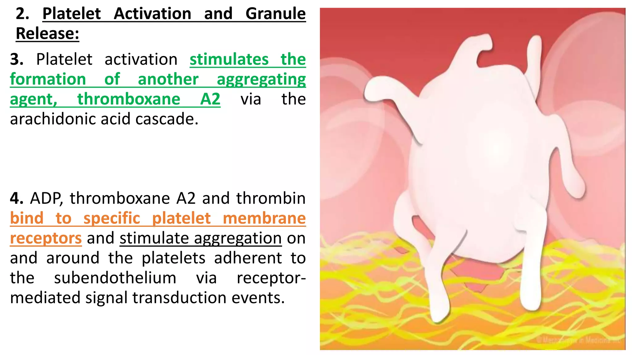 Platelet Function Tests | PPTX