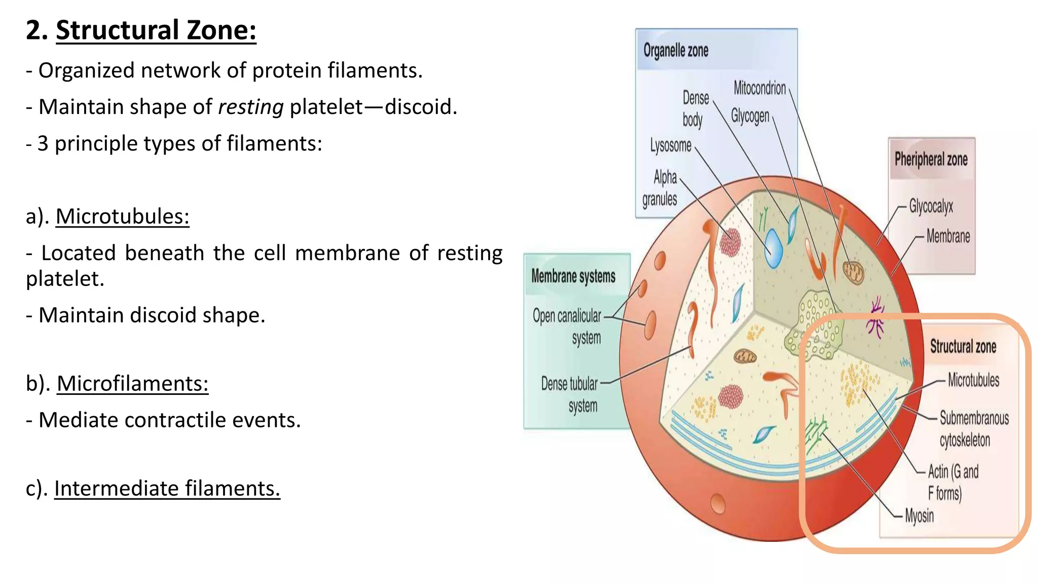 Platelet Function Tests Ppt