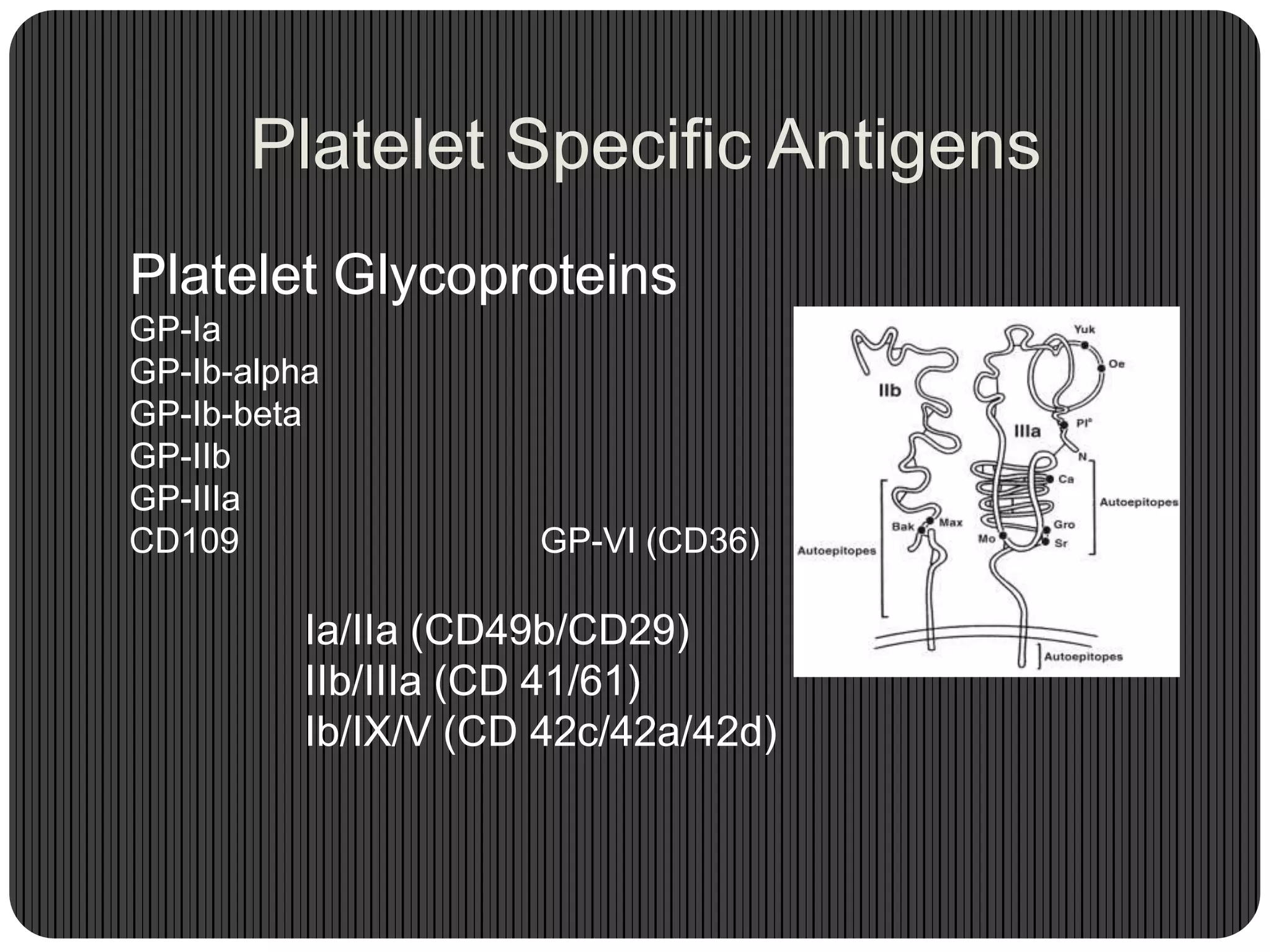Platelet immunohematology | PPTX