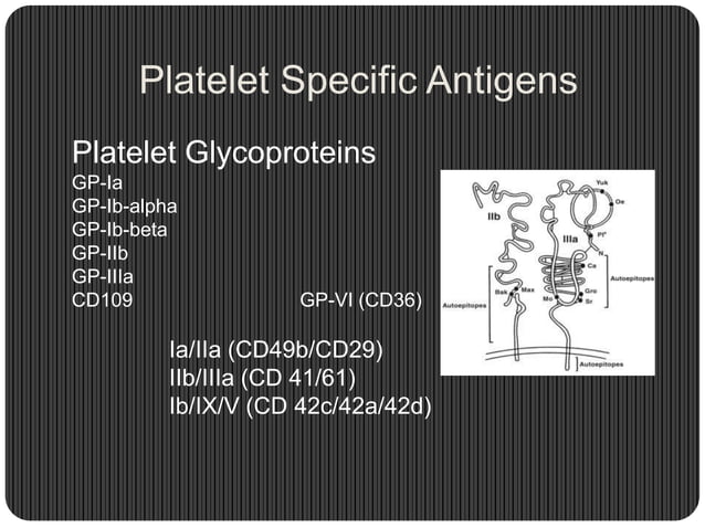 Platelet immunohematology | PPTX | Blood Disorders | Diseases and ...