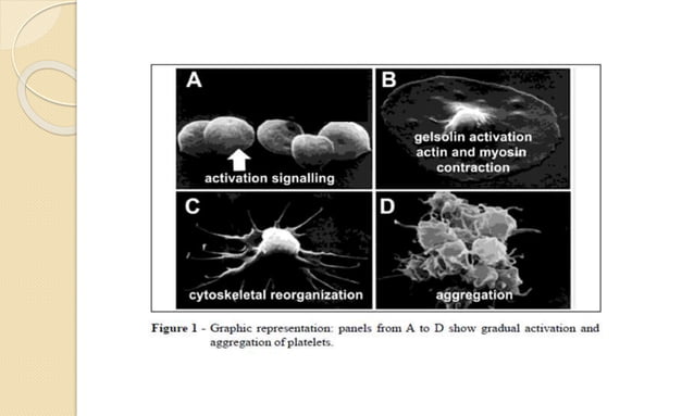 Platelet preservation and storage final.pptx