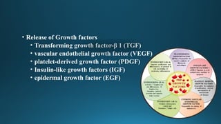 Platelet-rich fibrin (PRF) or leukocyte- and platelet-rich fibrin (L ...