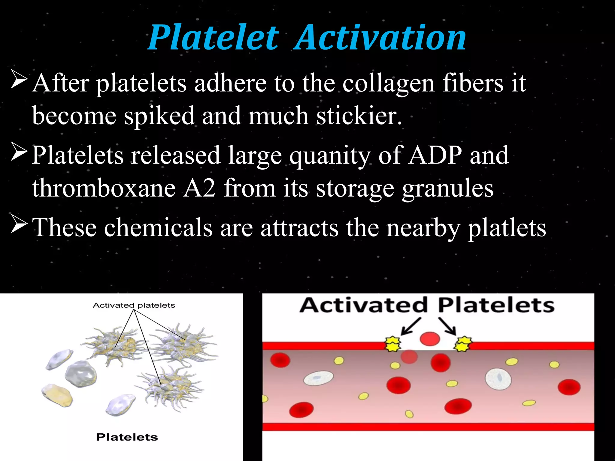 Platelets | PPT | Blood Disorders | Diseases and Conditions