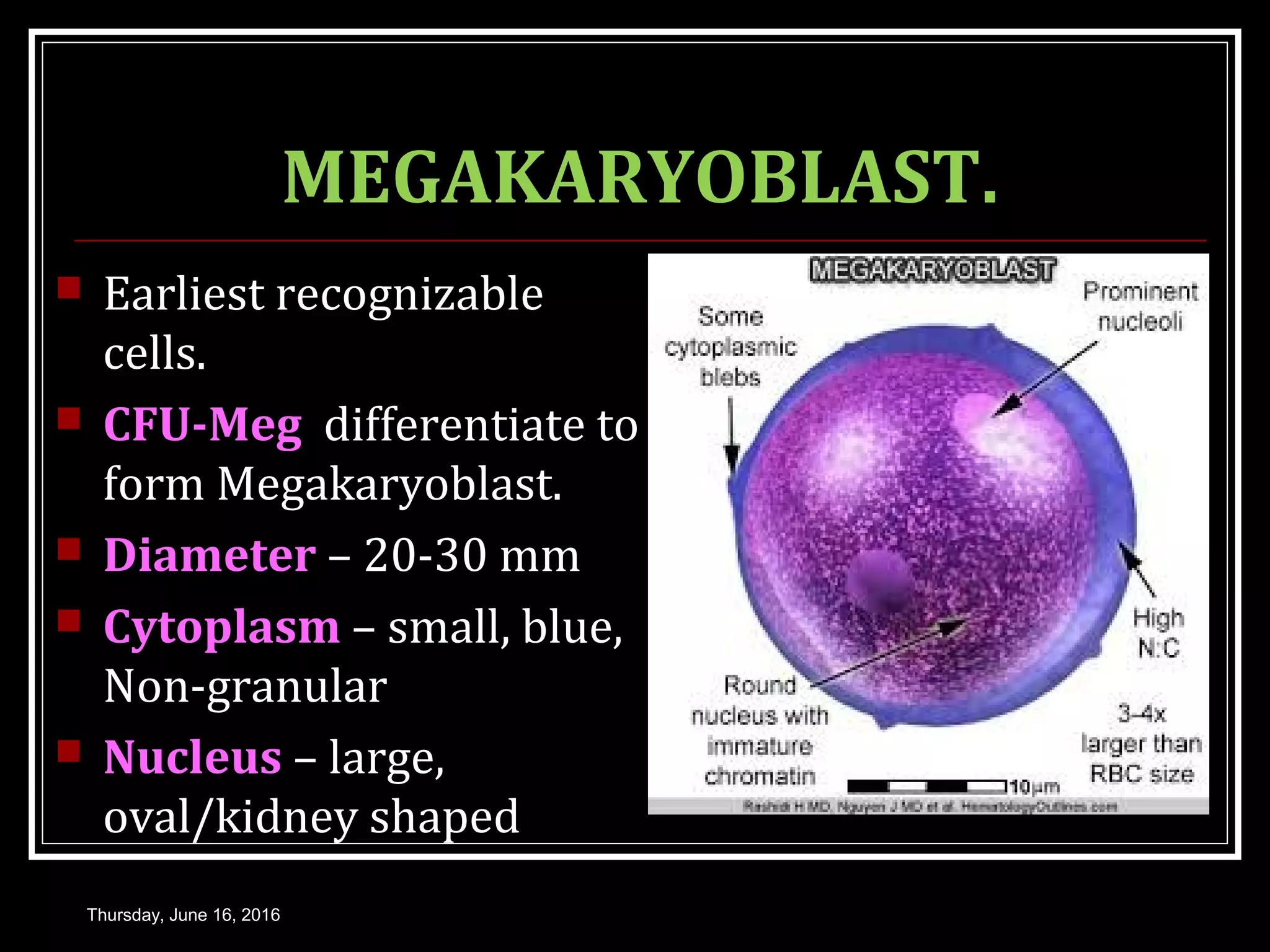 PLATELETS | PPT