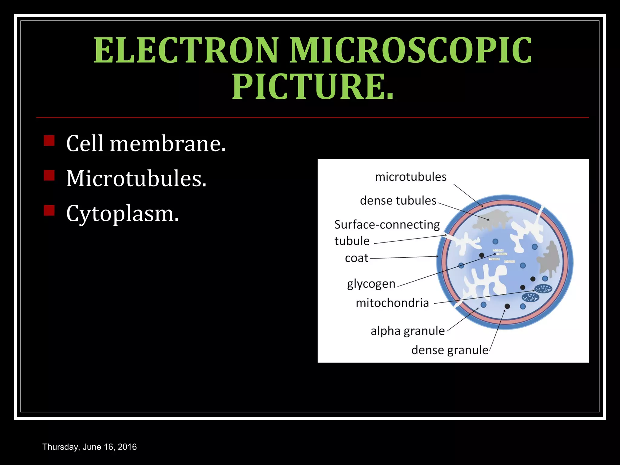 PLATELETS | PPT