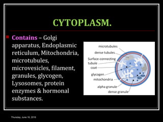 PLATELETS | PPT
