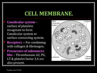 PLATELETS | PPT