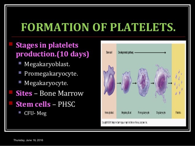 PLATELETS