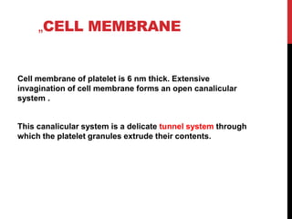 Platelets by Dr Prafull Turerao | PPTX