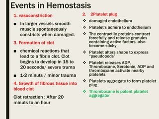 Platelets (The Guyton and Hall Physiology) | PPTX