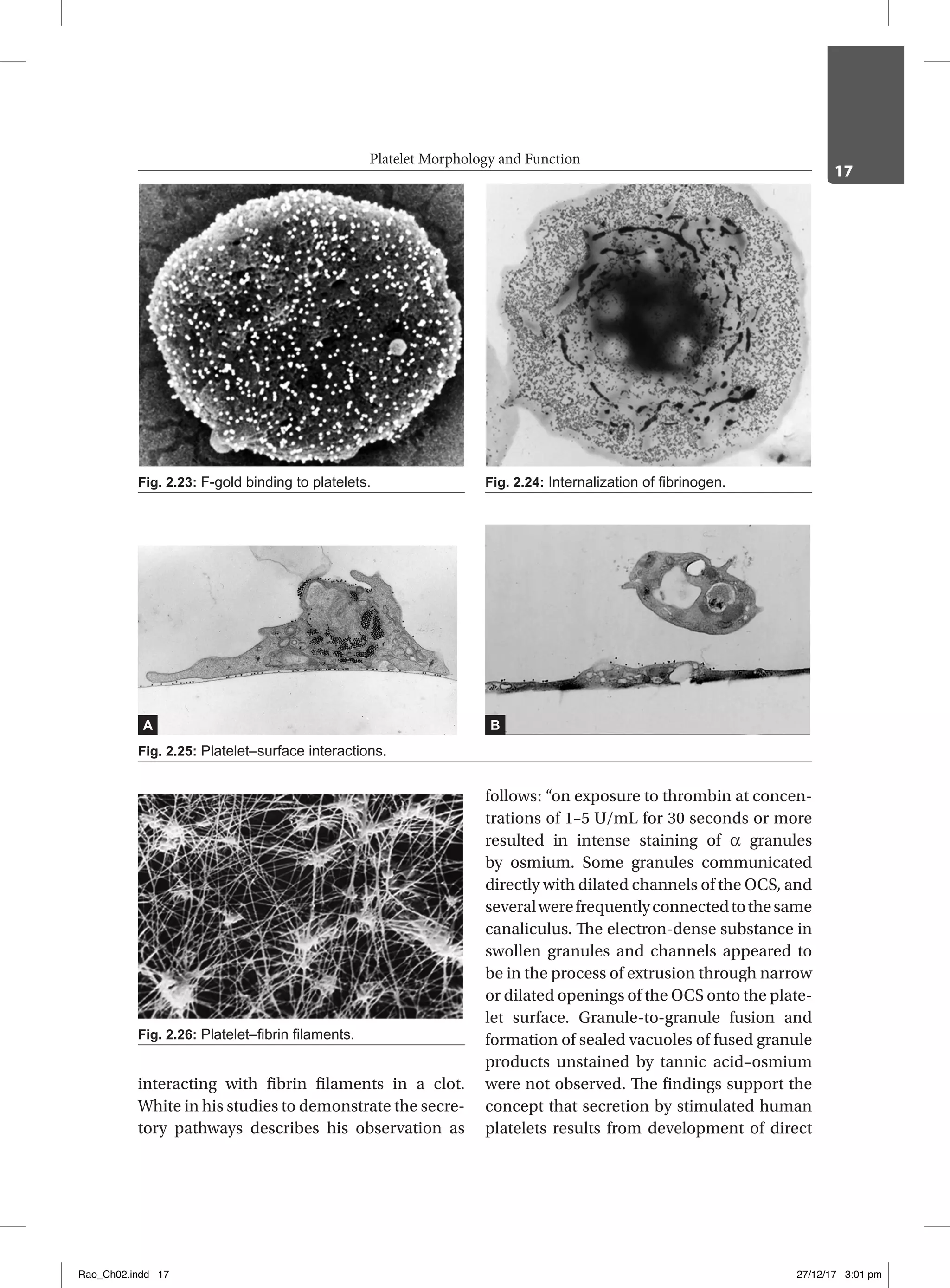 Platelets.Gundo_Rao_Binder.pdf