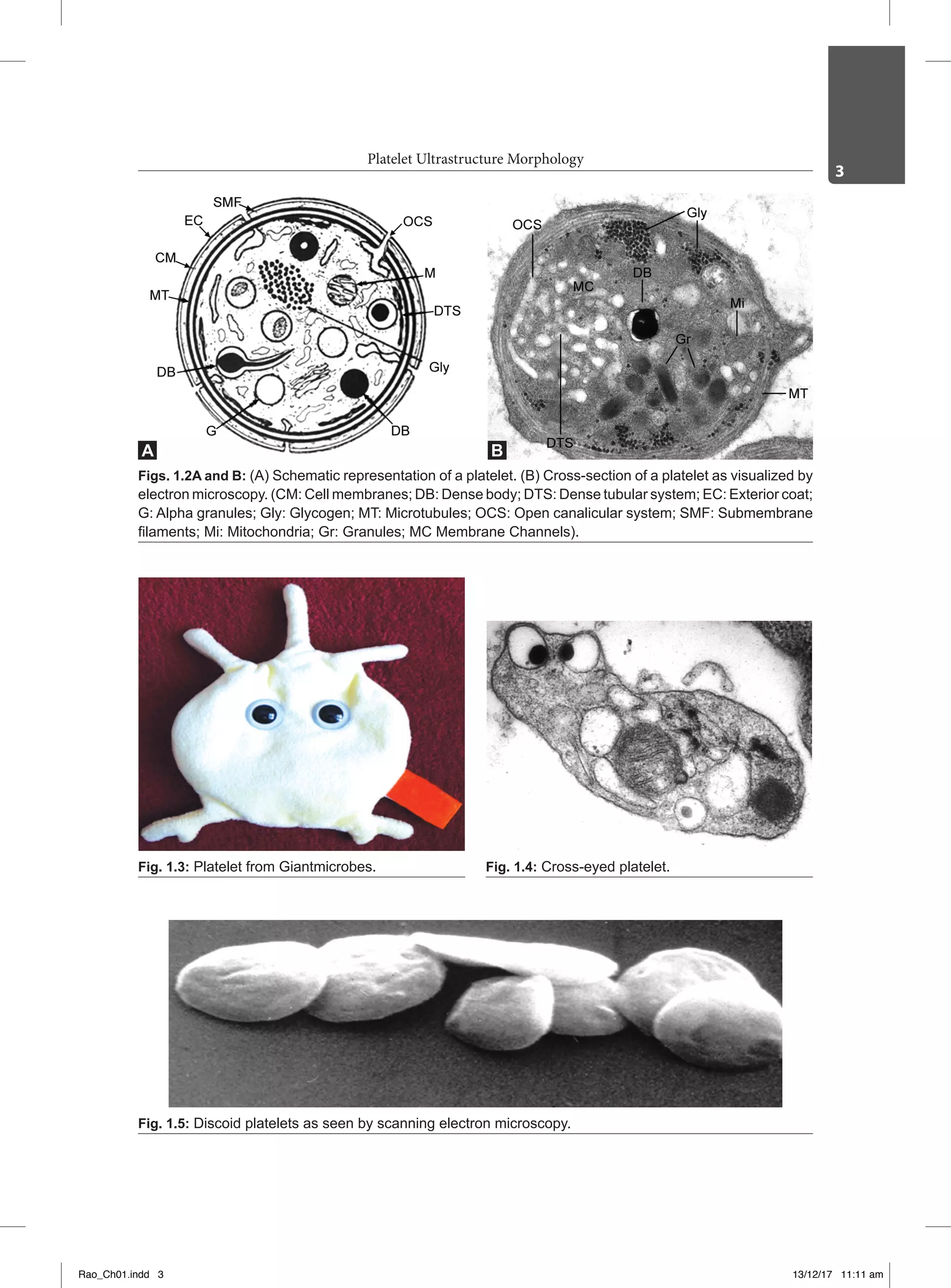 Platelets.Gundo_Rao_Binder.pdf