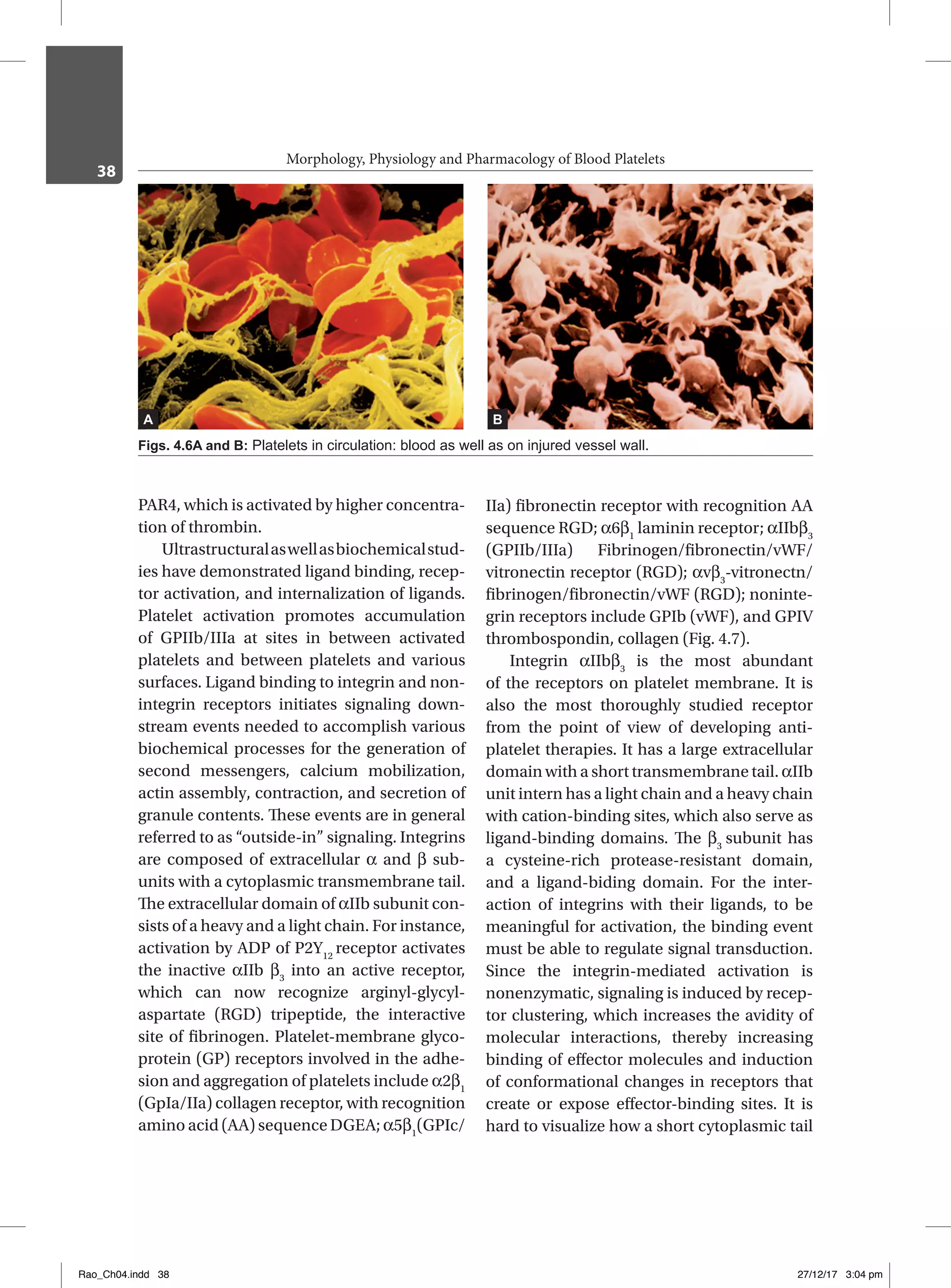 Platelets.Gundo_Rao_Binder.pdf