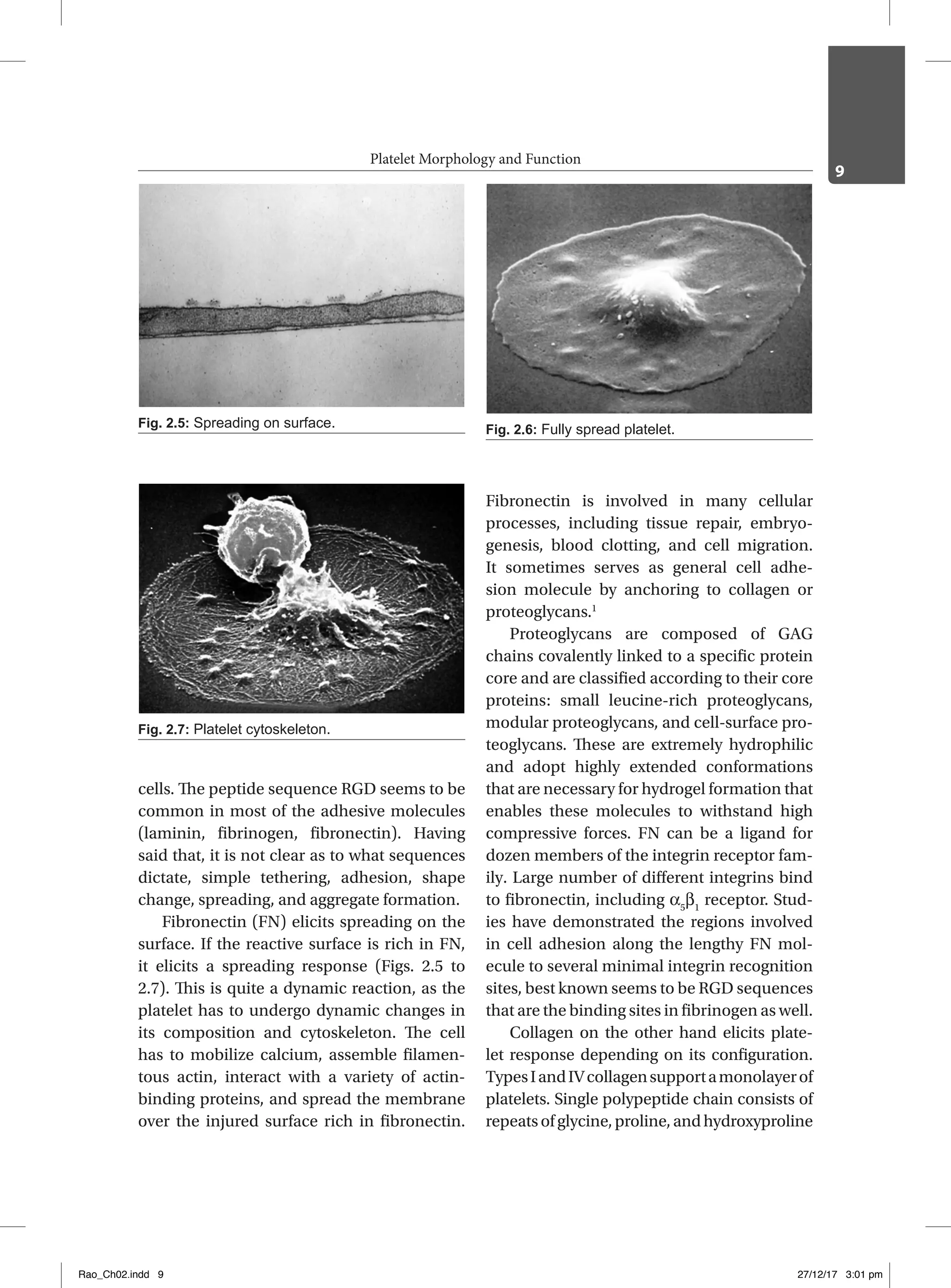 Platelets.Gundo_Rao_Binder.pdf