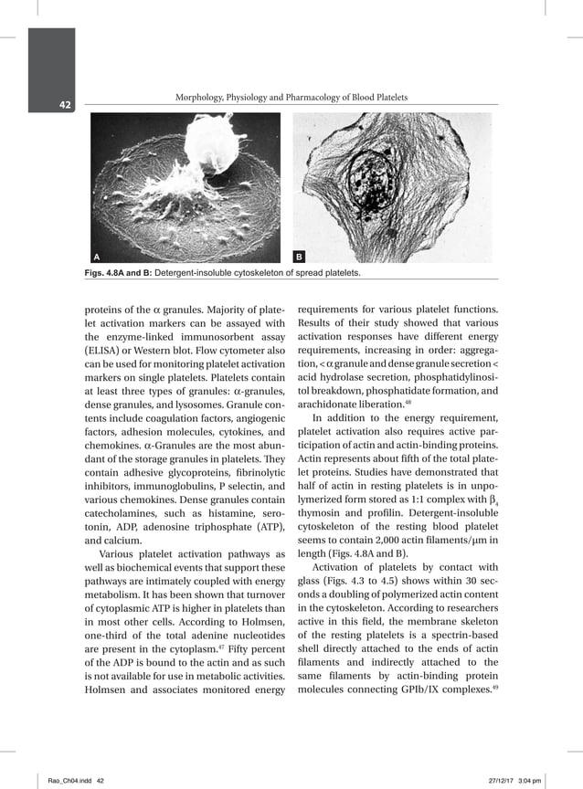 Platelets.Gundo_Rao_Binder.pdf