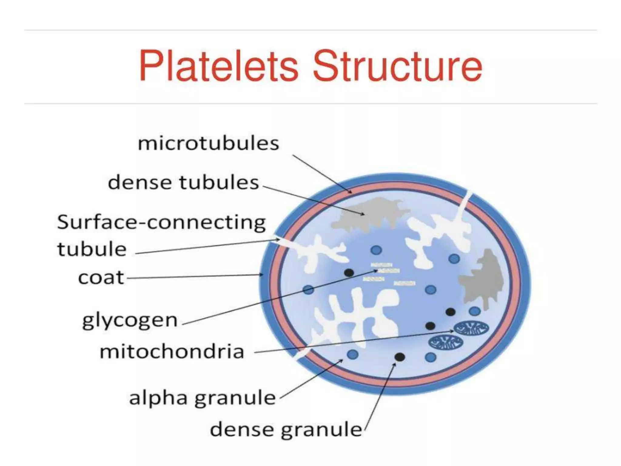 Platelets and Hemostasis.pptx