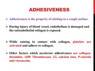 Platelets and Hemostasis.pptx