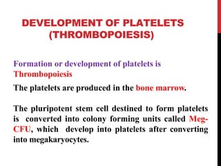 Platelets and Hemostasis.pptx | Blood Disorders | Diseases and Conditions