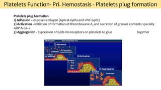 Platelets .pptx