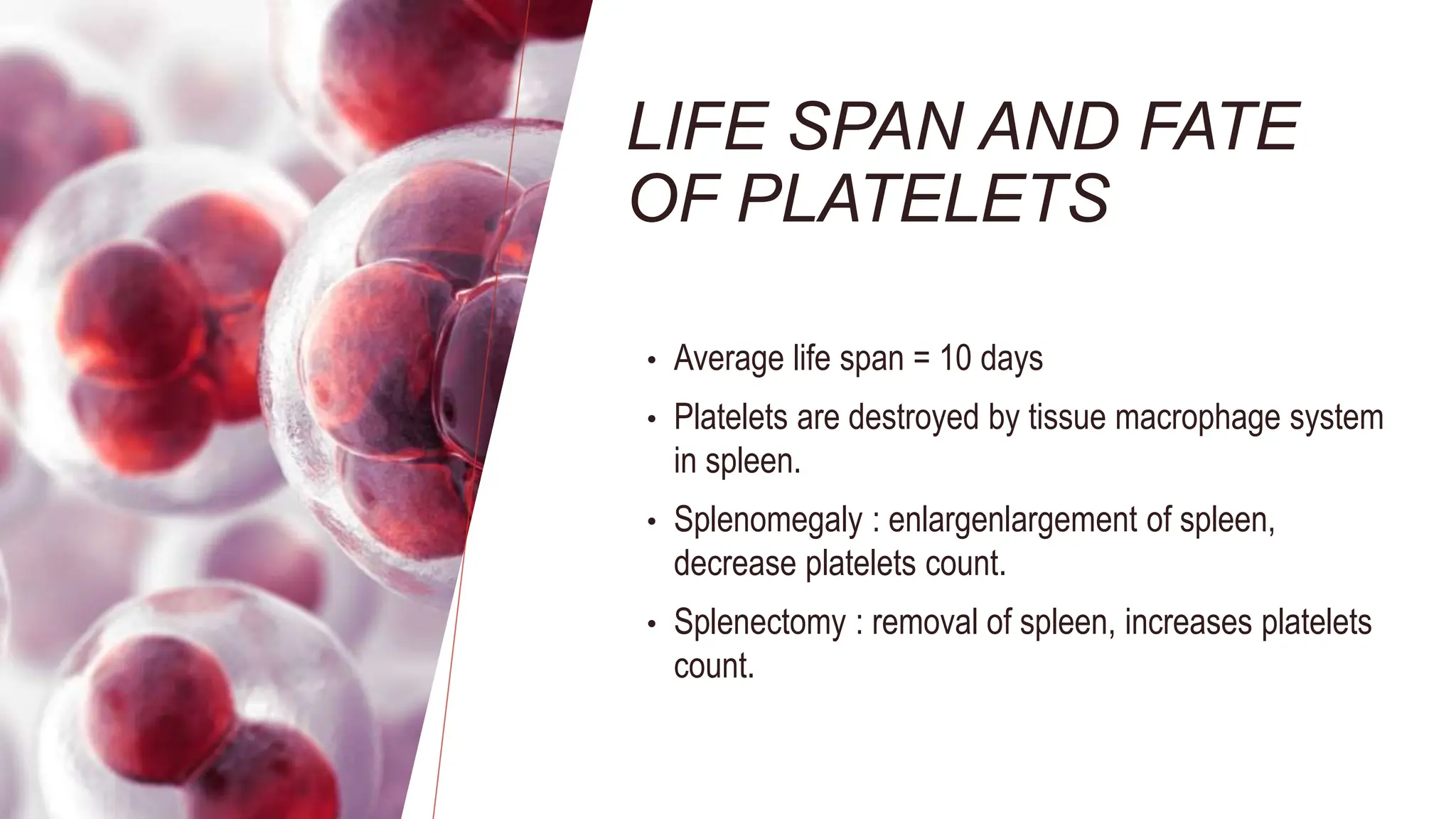 Platelets.pptx