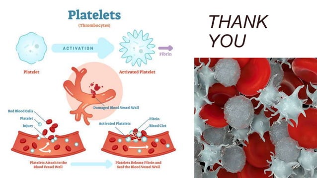 Platelets.pptx
