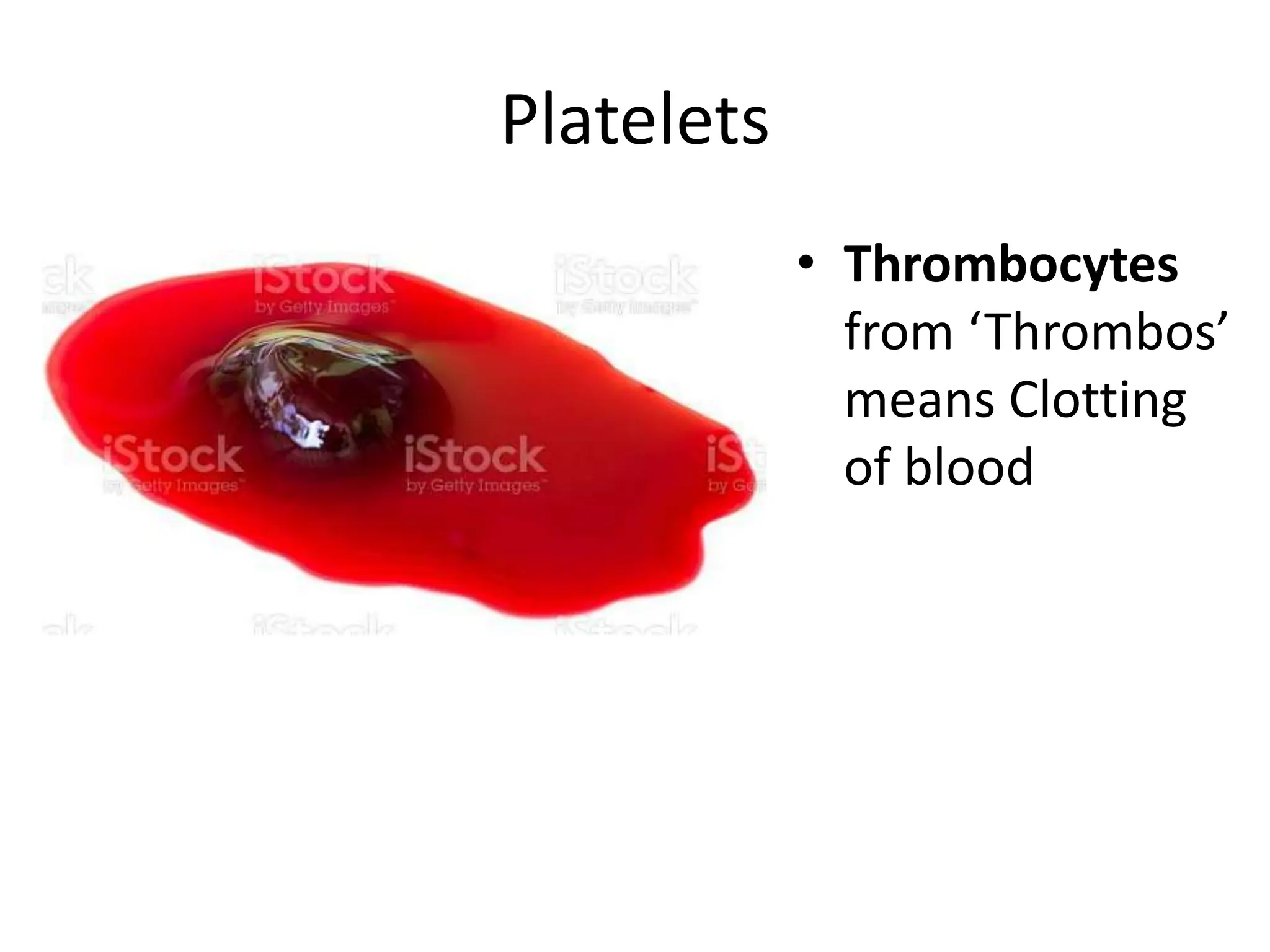 Blood Physiology Structure and characteristics of Platelets.pptx
