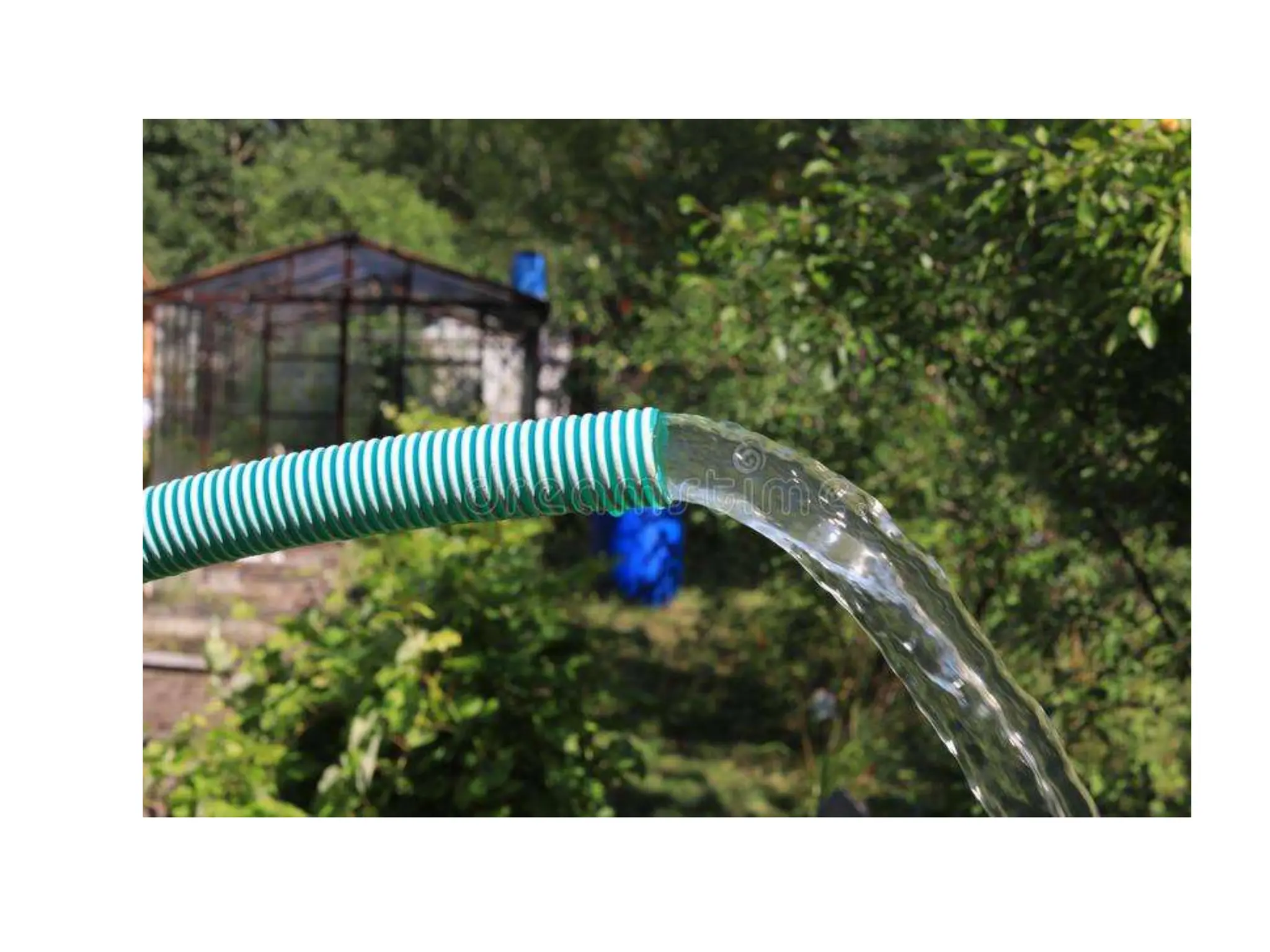 Blood Physiology Structure and characteristics of Platelets.pptx