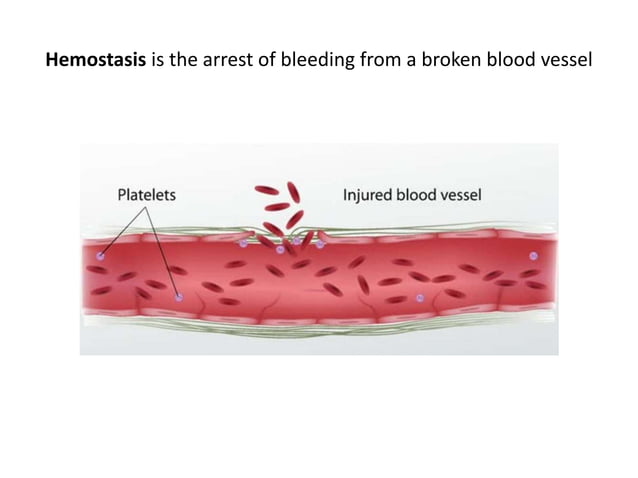 Blood Physiology Structure and characteristics of Platelets.pptx