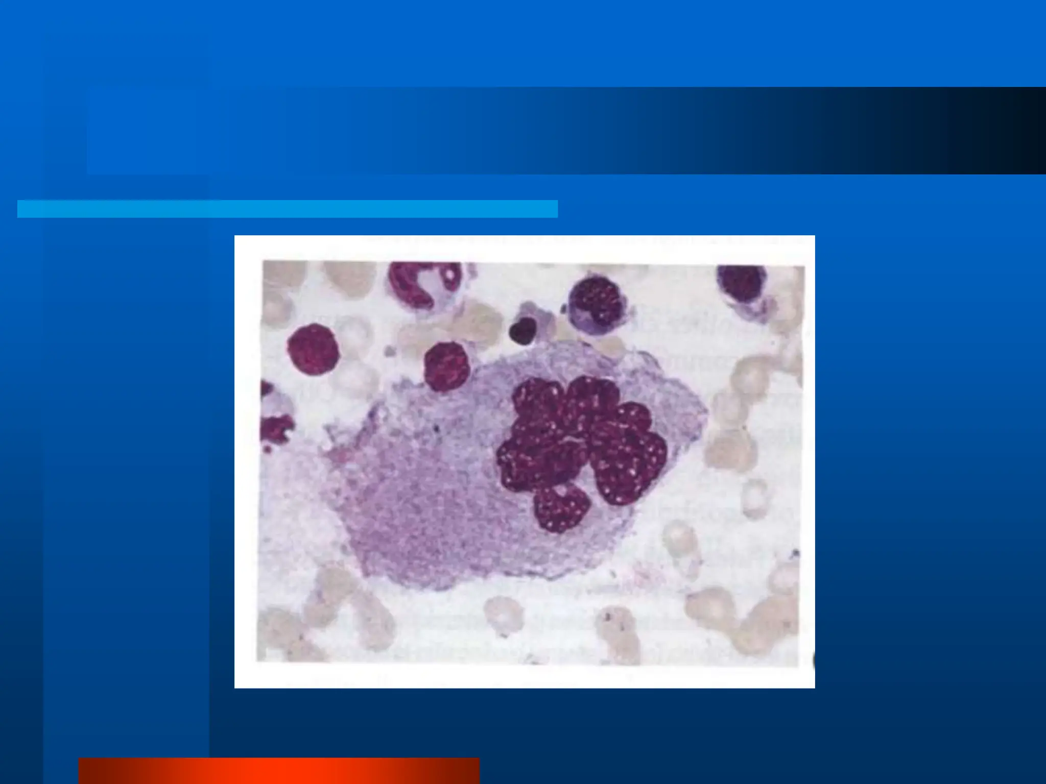 PLATELETS.ppt PLATELETS.ppt PLATELETS.ppt