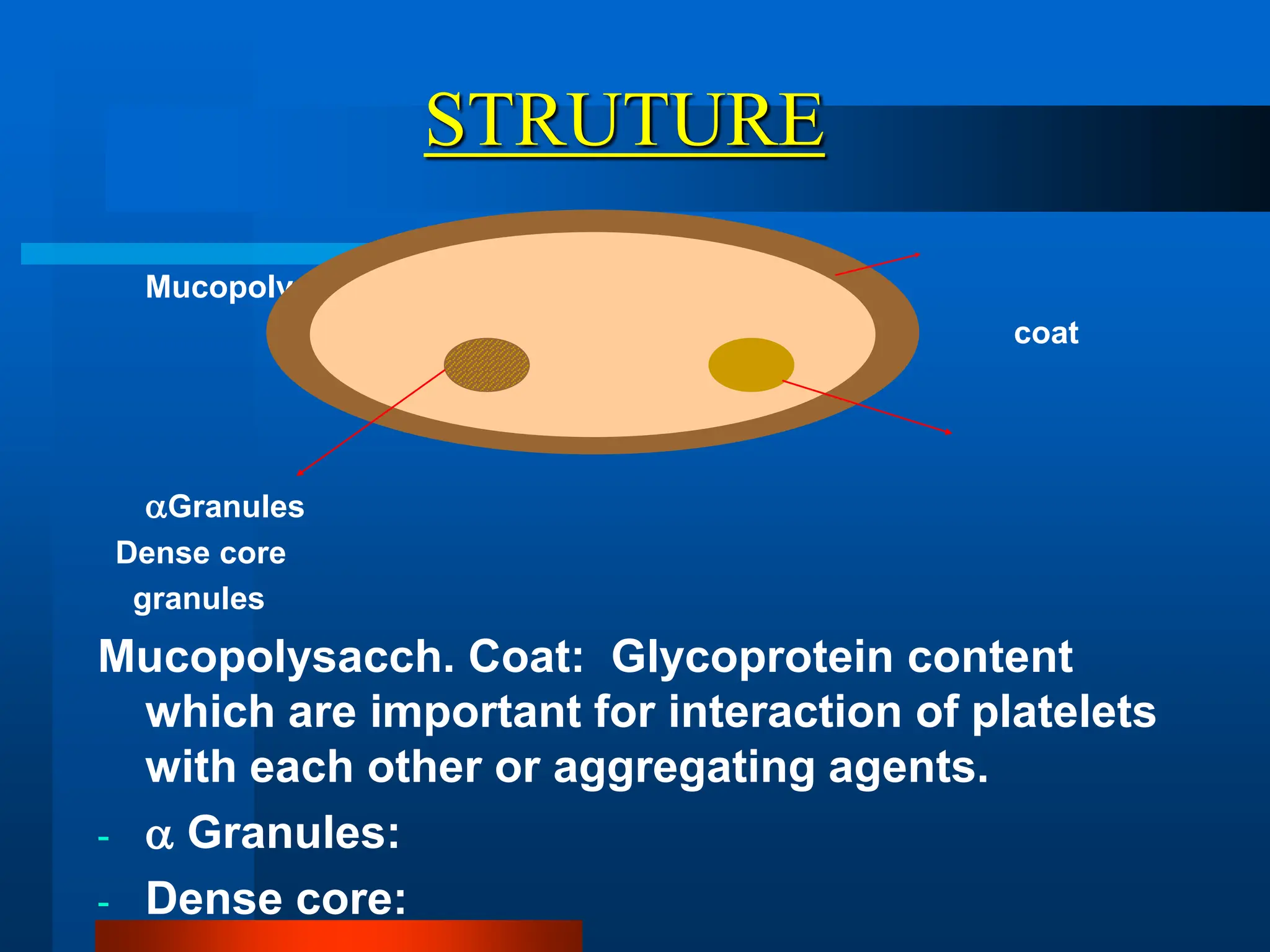 PLATELETS.ppt PLATELETS.ppt PLATELETS.ppt