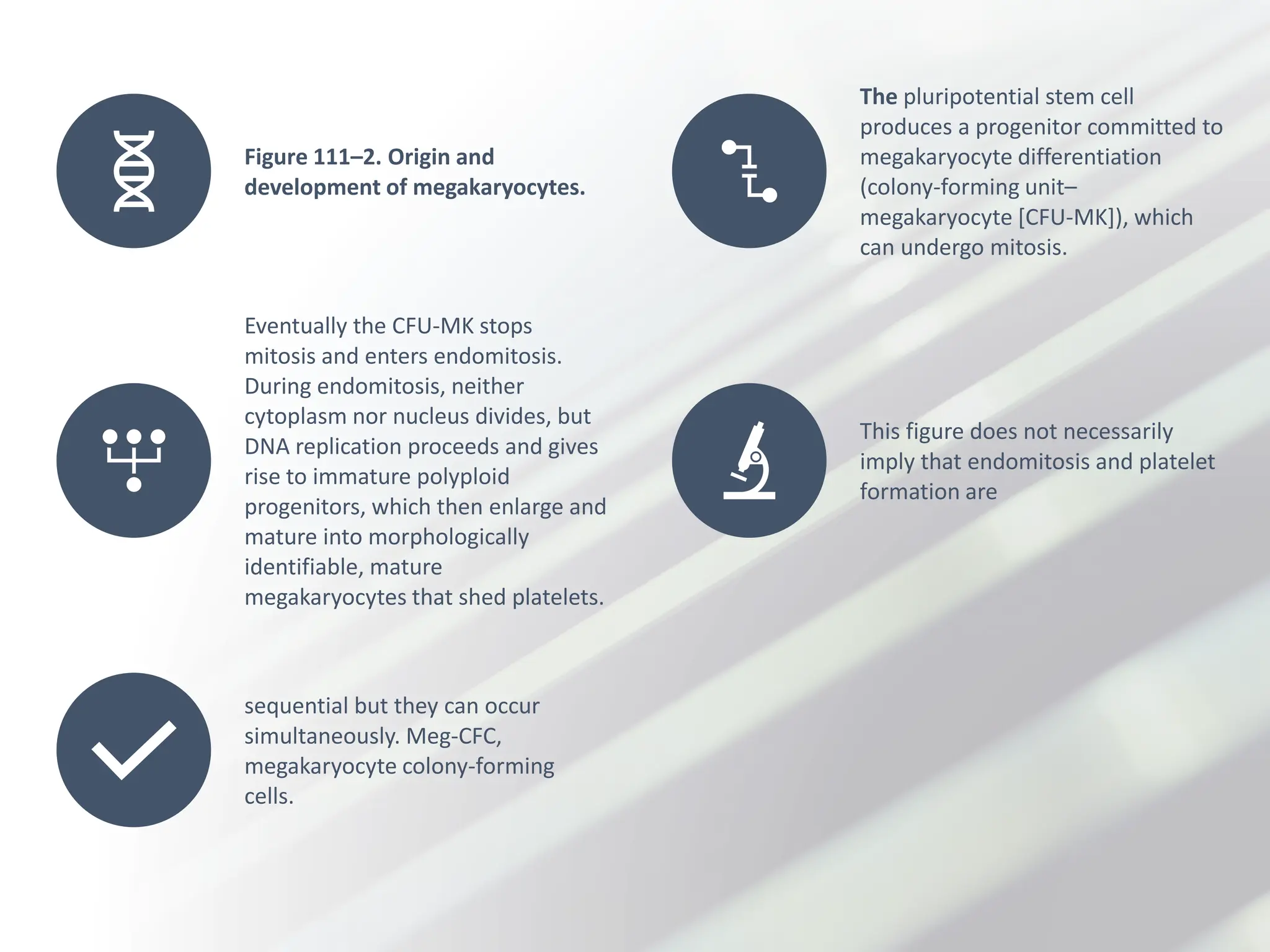 platelets :its role in normal and diseases.pdf