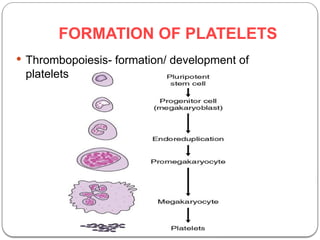 PLATELETS AND ITS ROLE IN BLOOD COAGULATION.pptx