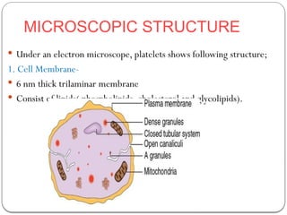 PLATELETS AND ITS ROLE IN BLOOD COAGULATION.pptx