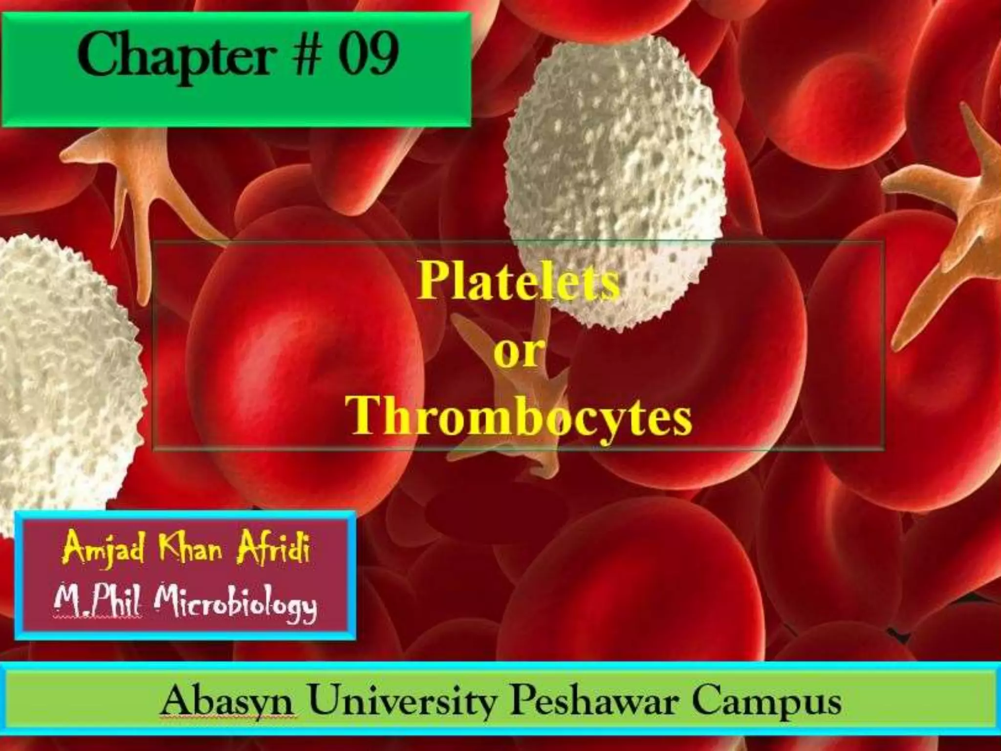 Platelets or thrombocytes | PPTX