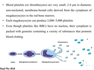 Thrombocytes Or Platelets