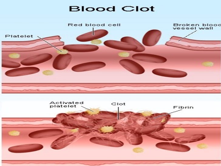 Platelets physiology