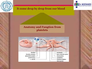 Platelets rich plasma for skin rejuvenation | PPT