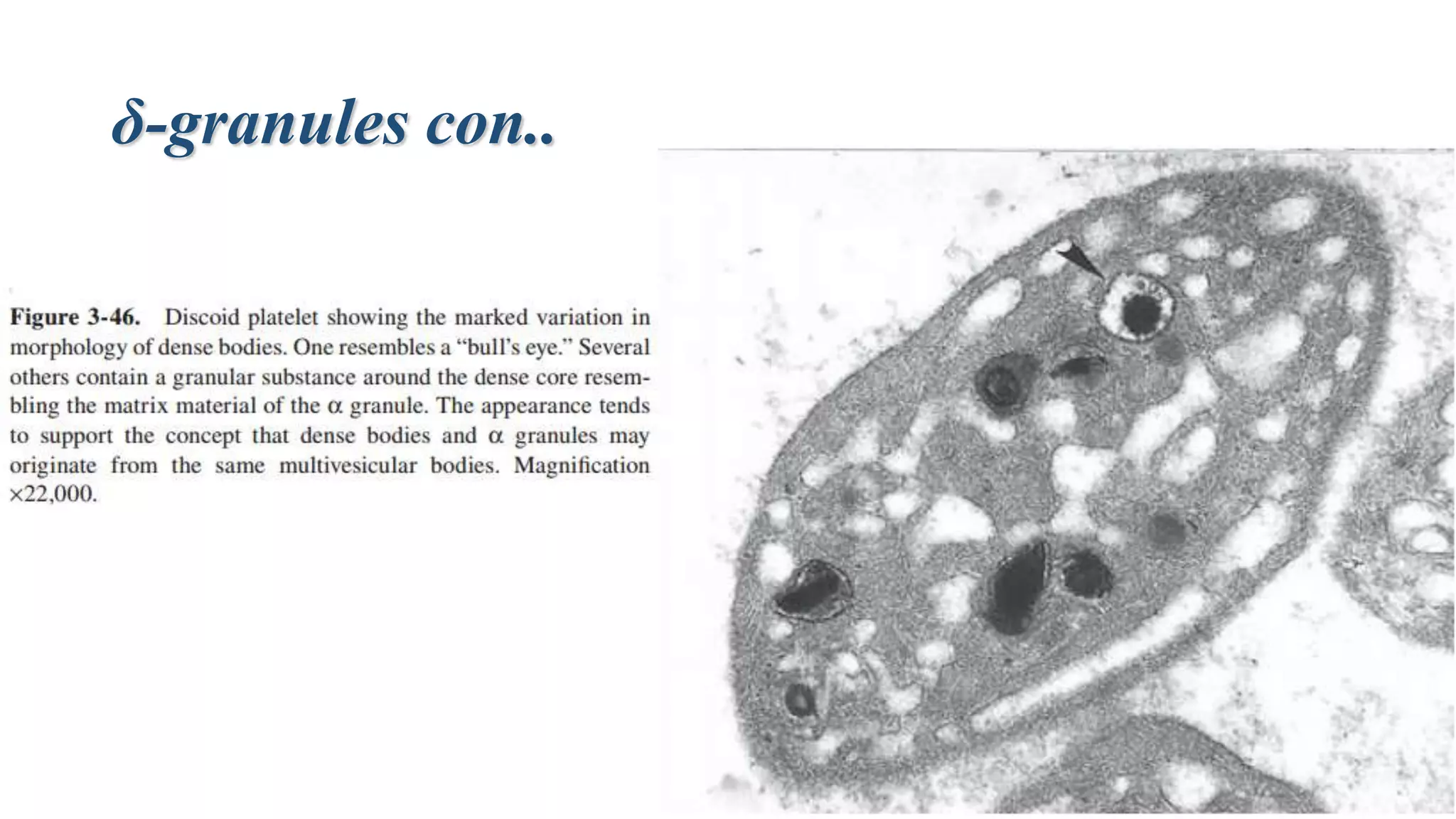 Platelet storage pool disorders | PPT | Free Download