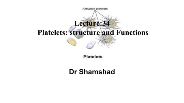 Platelet structure and function (1) | PPTX | Blood Disorders | Diseases ...