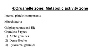 Platelet structure and function (1) | PPTX