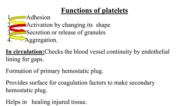 Platelet structure and function (1) | PPTX | Blood Disorders | Diseases ...
