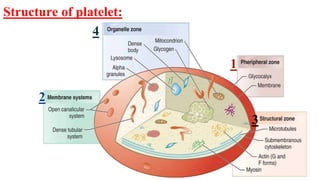 Platelet Structure And Function