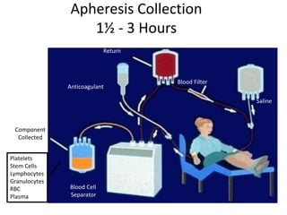Apheresis Platelets