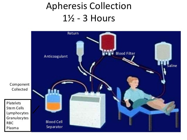 Apheresis Platelets Apheresis Donations PDF | PDF | Blood Donation