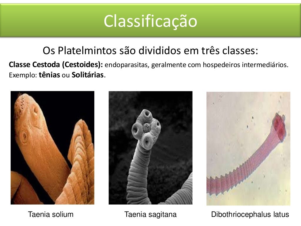 Platelmintos & Nematódeos