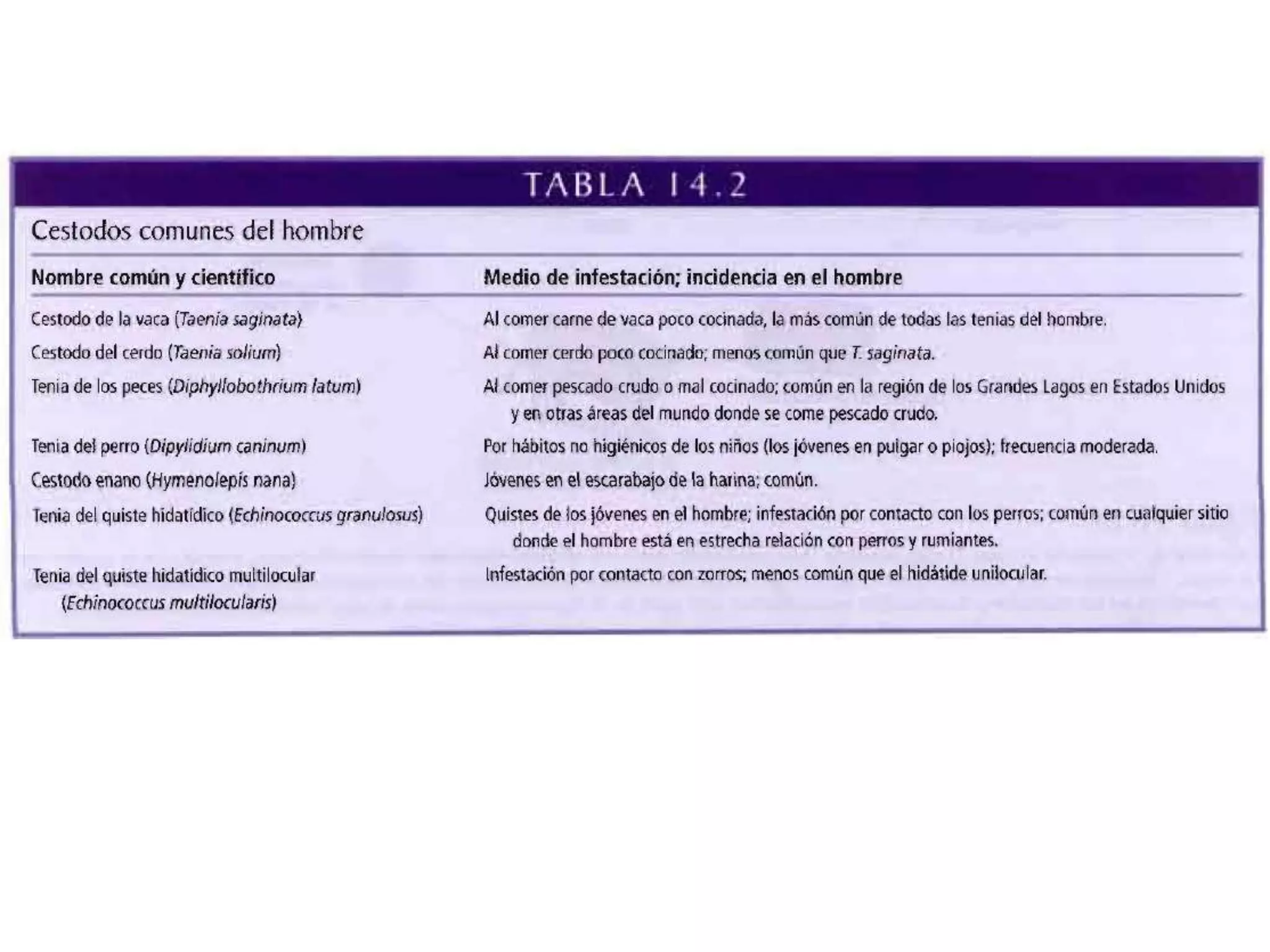 Platelmintos, Acelomorfos, Mesozoos y Nemertinos | PPTX