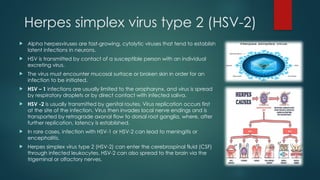 Infectious Diseases Plate Round 11-13-2024.pptx