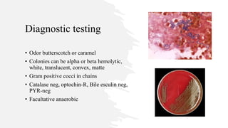 Infectious Diseases Plate Rounds 1-24-24 | PPT