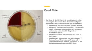 Infectious Disease Plate Rounds 12-20-23.pptx